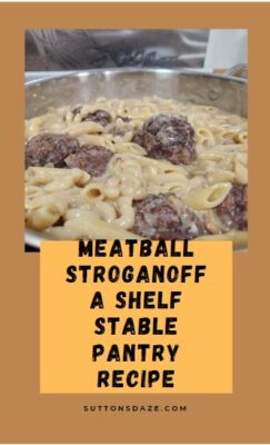 Meatball Stroganoff - Shelf Stable Panty Meal – Suttons Daze