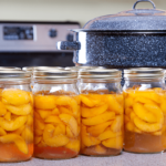 Home – Suttons Daze