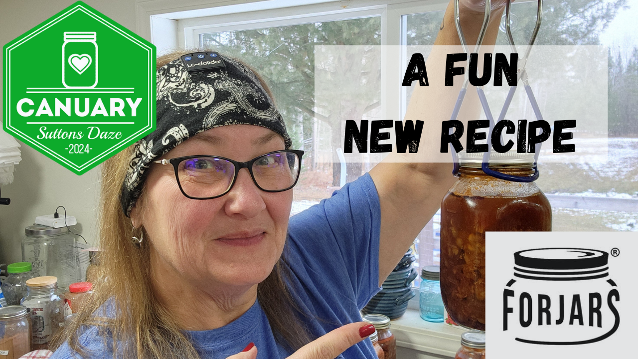 Home – Suttons Daze