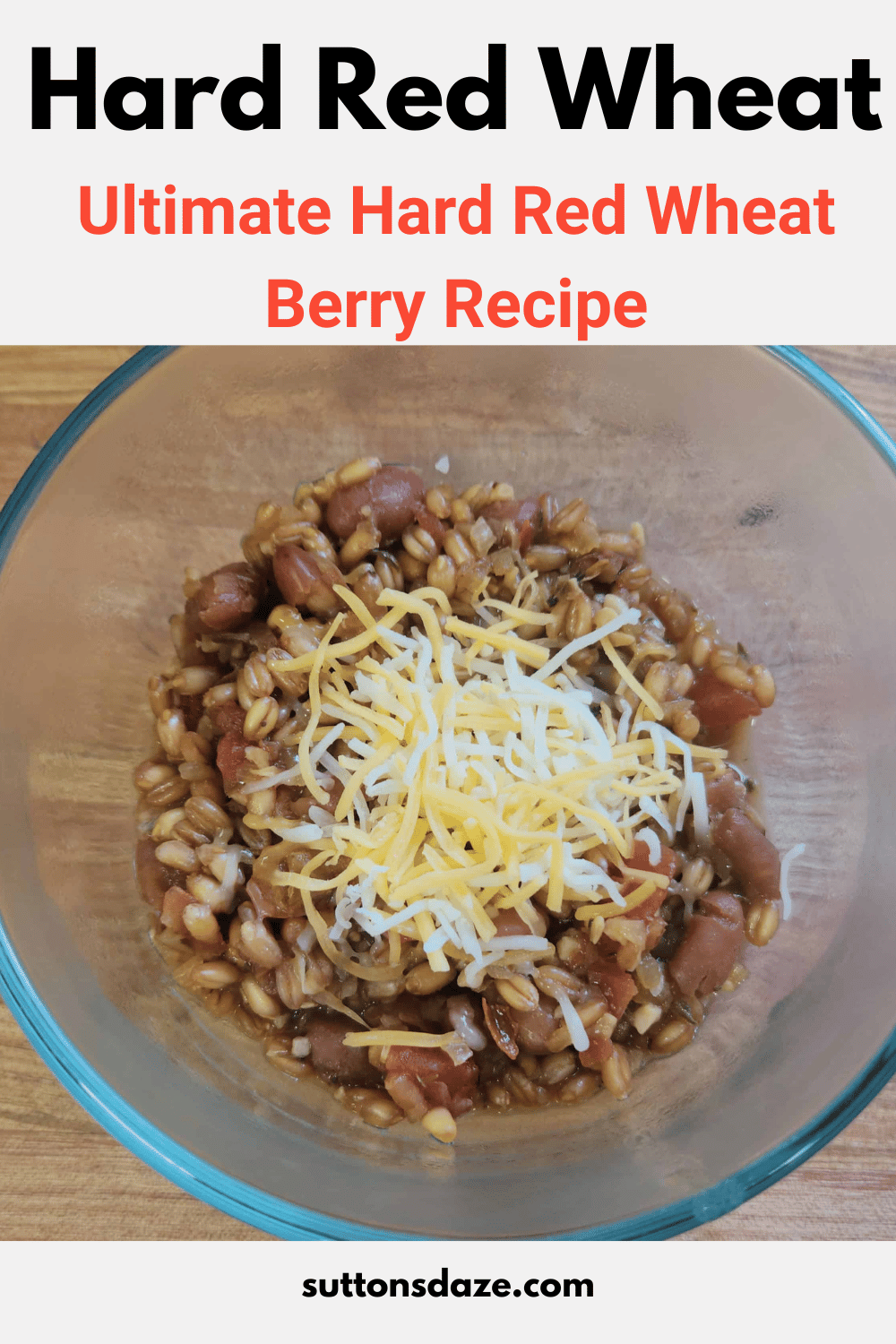 Exploring Hard Red Winter Wheat – Suttons Daze