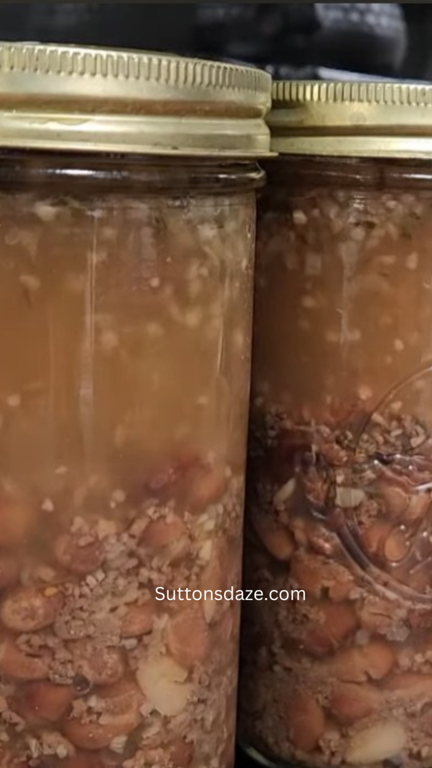 Home – Suttons Daze